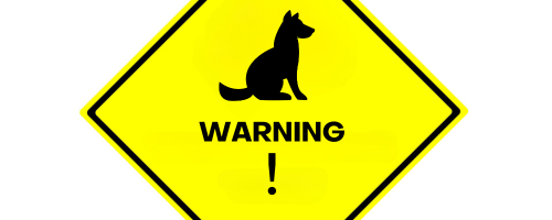 Dealing with dangerous dogs: How to protect yourself in a dog attack ...